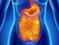 How Diabetes Affects The Digestive System and Its Dangers