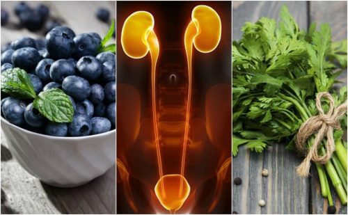 7 Foods that Protect Your Kidneys and Bladder - Step To Health