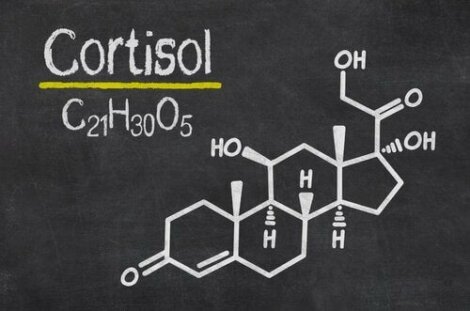 7 Signs of High Cortisol Levels in Your Body - Step To Health
