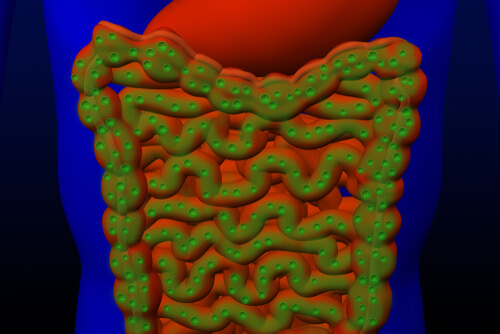 What Do Intestinal Gases Say about Your Health? - Step To Health