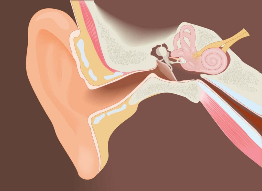 Surgical Removal Of Exostoses Of The External Auditory Canal