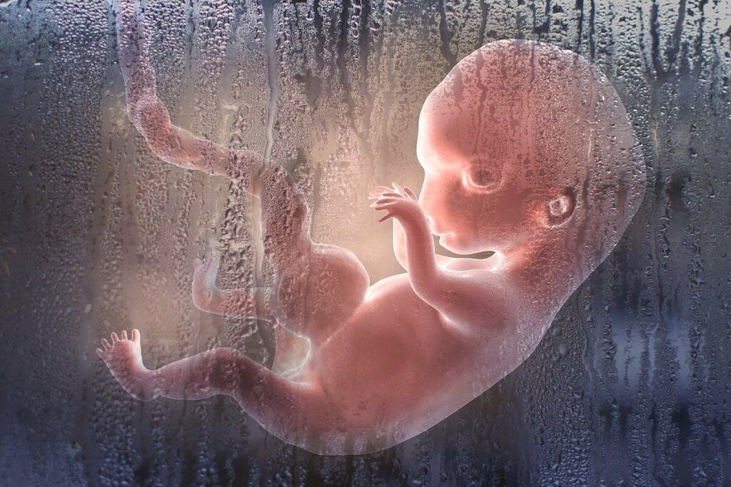 Induced Abortion: What Does It Involve? - Step To Health