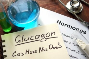 What Is Glucagon? What Are Its Functions? - Step To Health