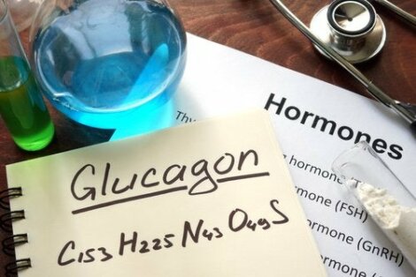 What Is Glucagon? What Are Its Functions? - Step To Health