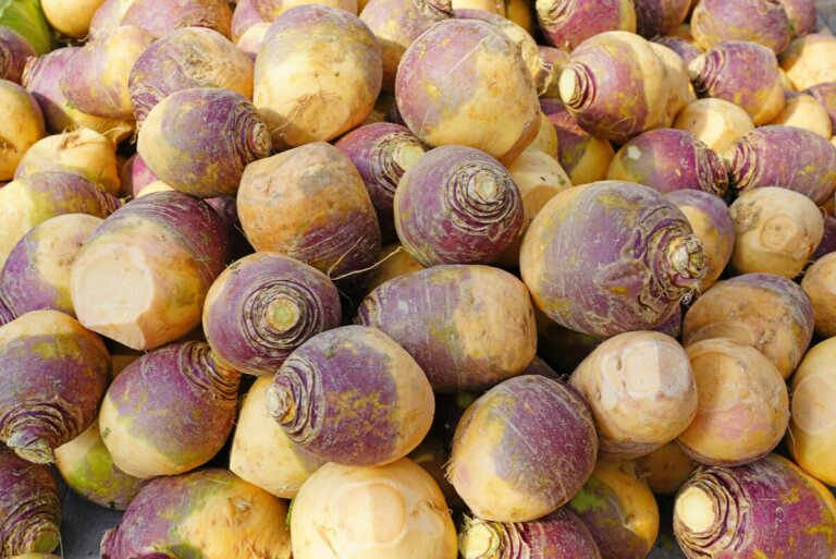 The Nutritional Value and Benefits of Rutabaga - Step To Health